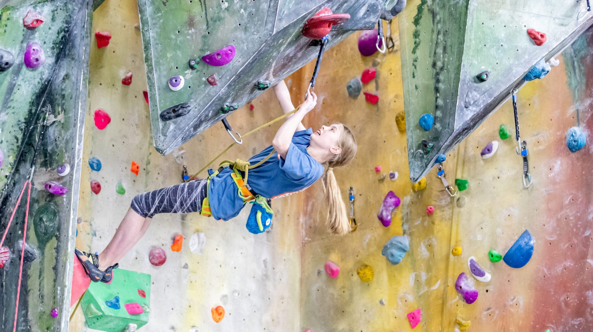 TCA Life - The Climbing Academy
